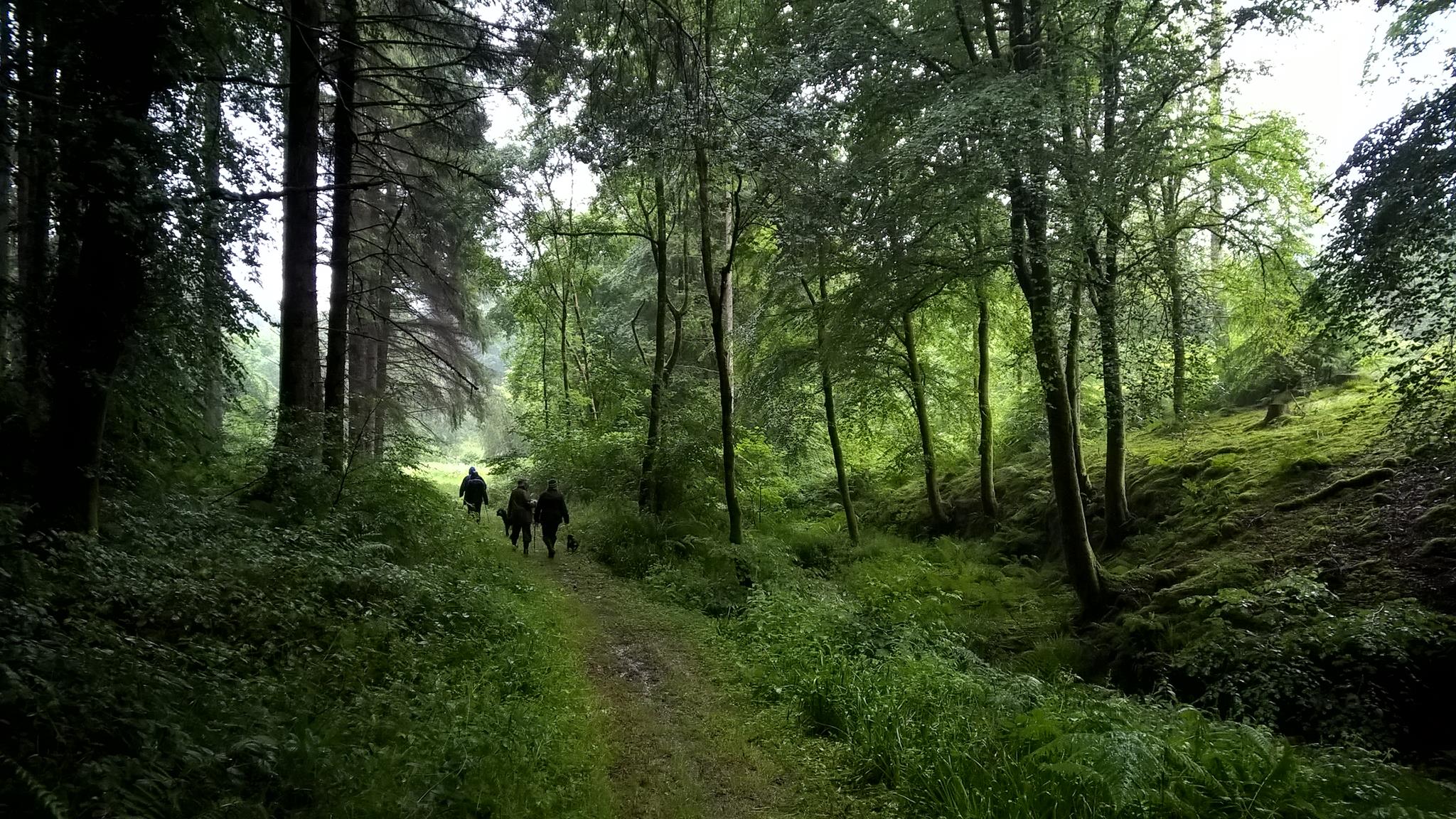 Borders Forest Trust - Wood Fuel Co-operative