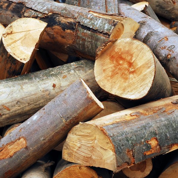 Guide to Traditional Logs - Wood Fuel Co-operative
